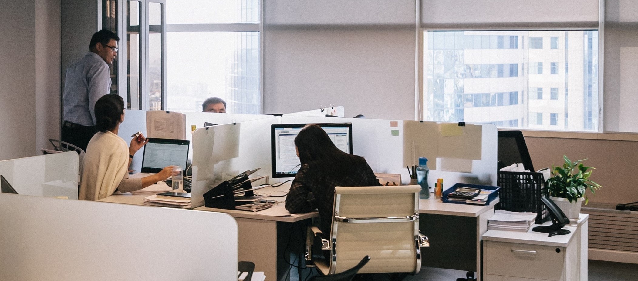 People Working In Office Cubicles